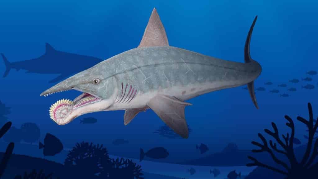 Helicoprion Profile: The Prehistoric Shark-Like Apex Predator