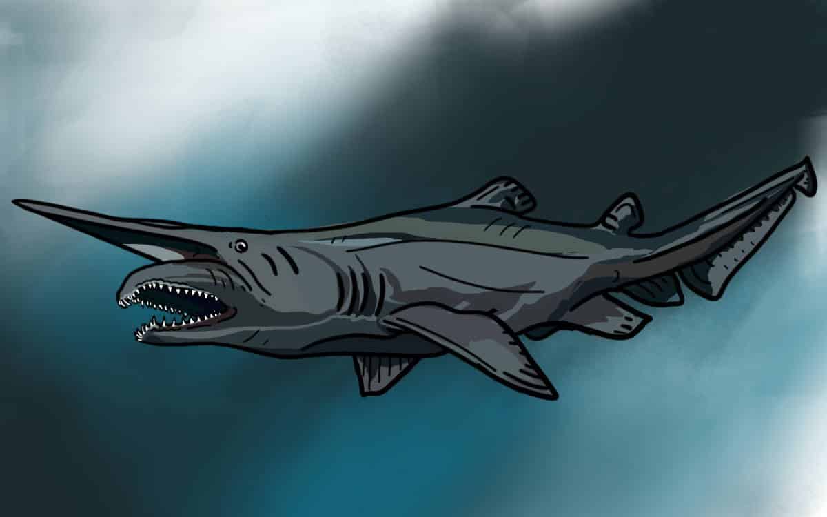 Goblin Shark: The Rare Deep-Sea Shark - Ocean Info