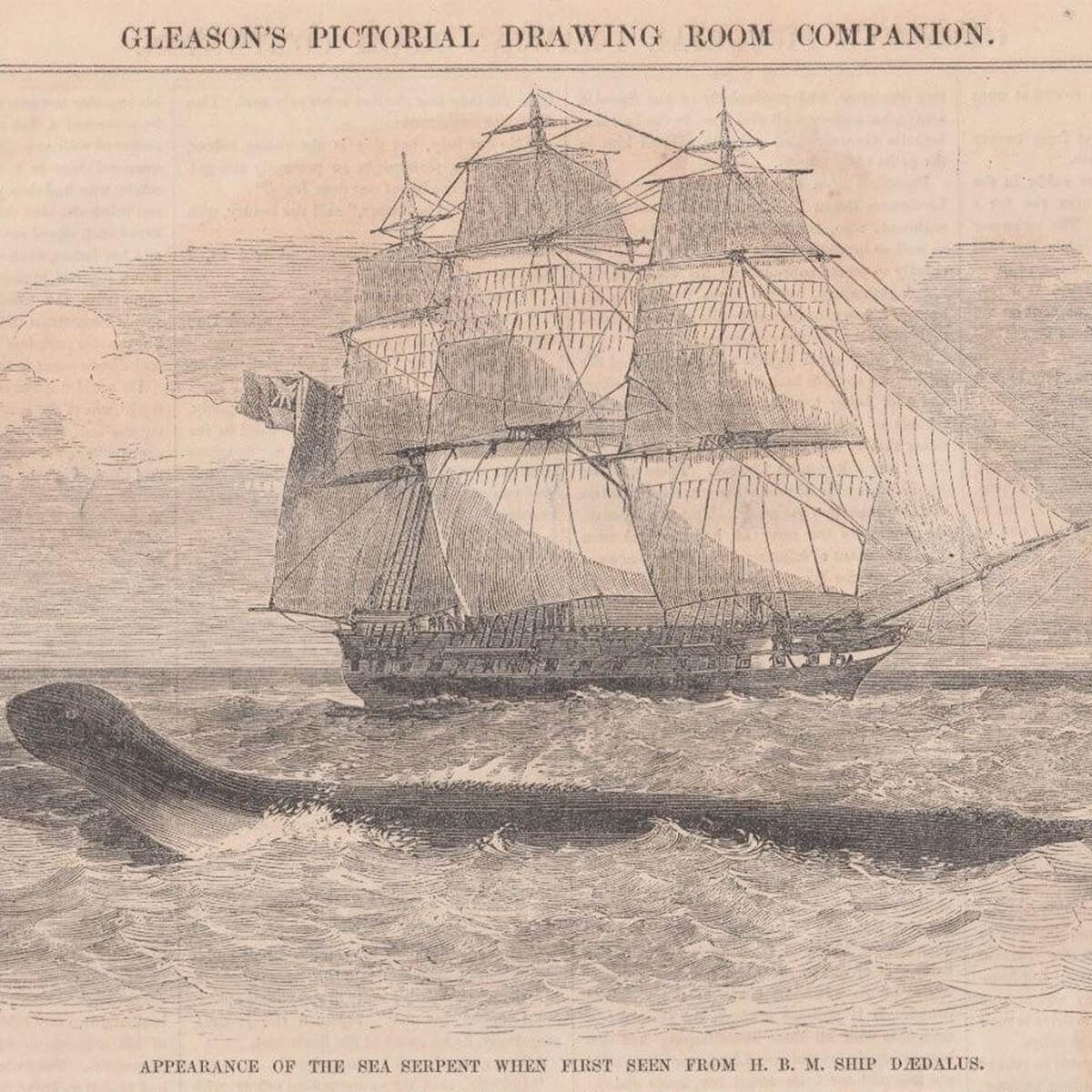 The Sea Serpent Myth Explained - Ocean Info