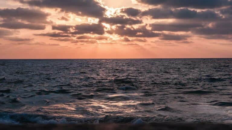 11 Different Types of Ocean Habitats - Ocean Info