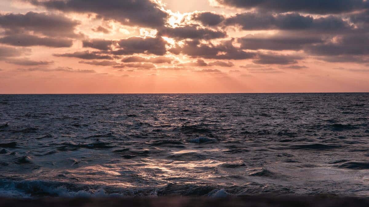 11 Different Types of Ocean Habitats - Ocean Info