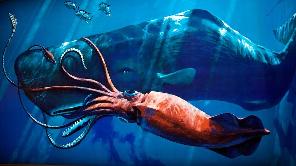 7 Creatures Thriving with Deep Sea Adaptations - Ocean Info