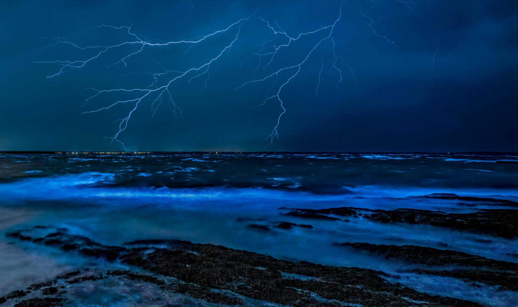 Bioluminescence: A Fascinating Phenomenon - Ocean Info