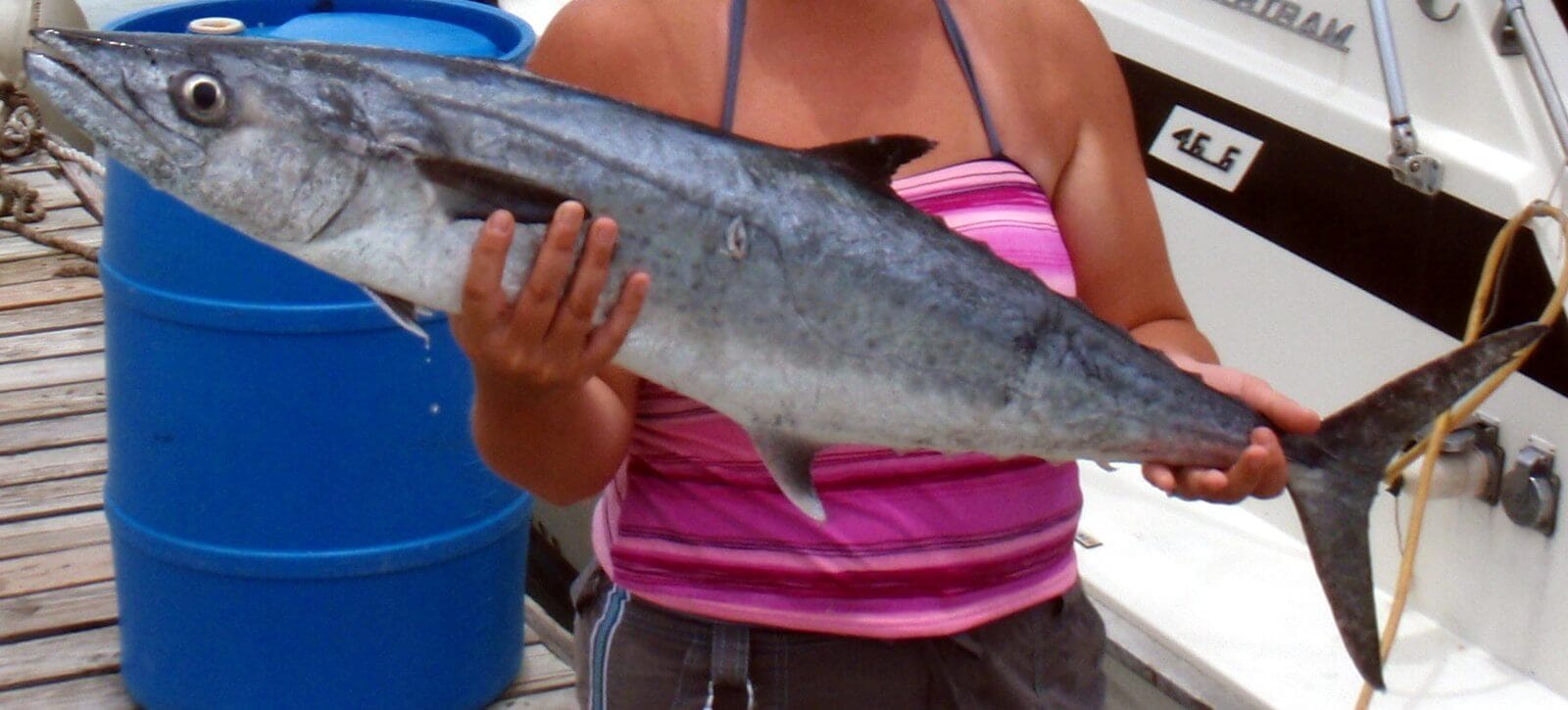 King Mackerel: The Majestic King of the Ocean - Ocean Info