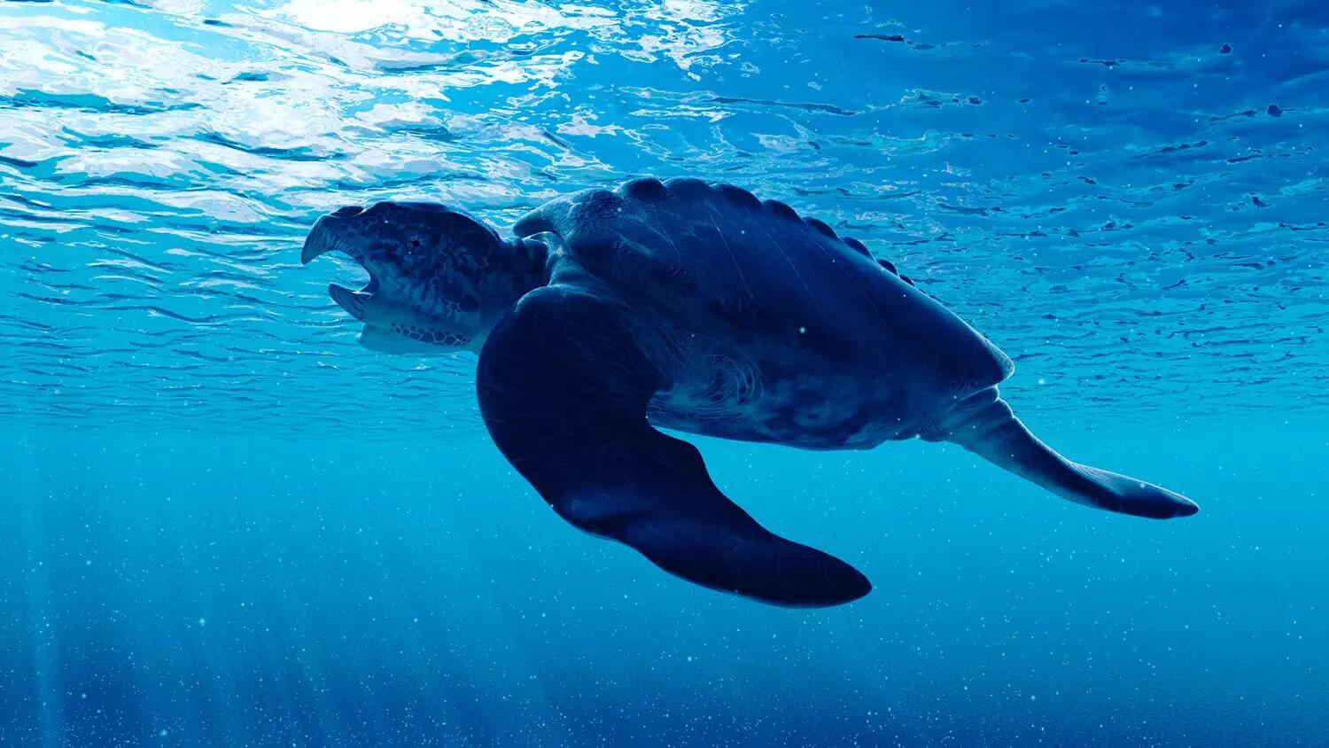 Archelon: The Prehistoric Giant Turtle - Ocean Info