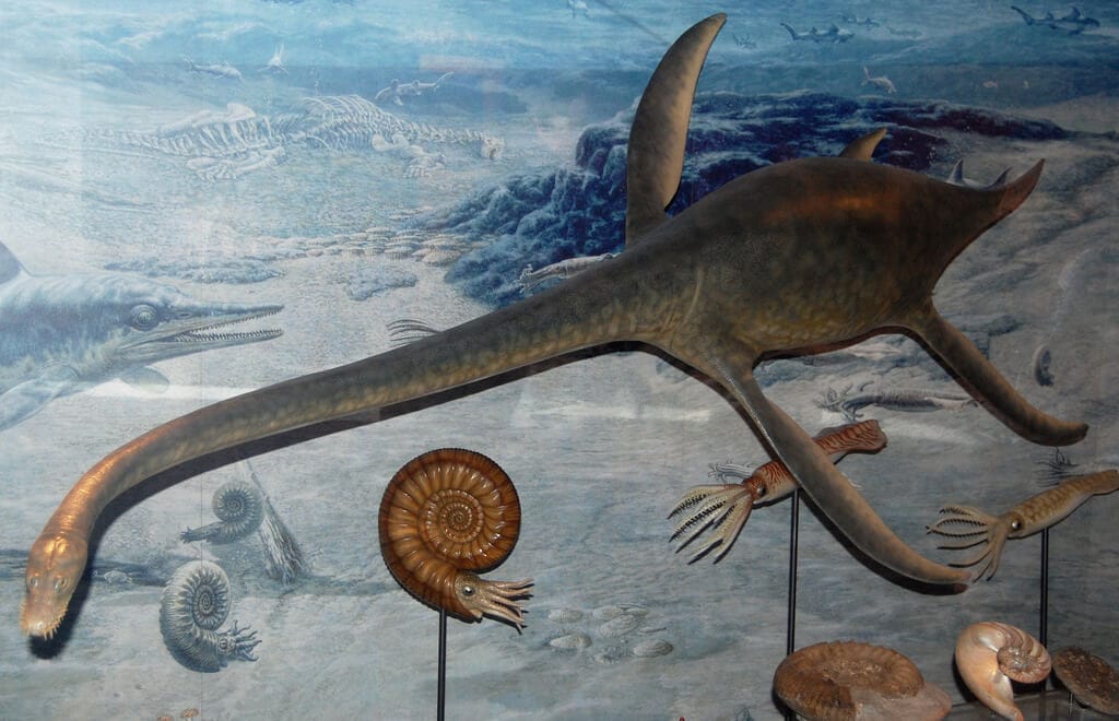 Plesiosaur: The Group Marine Predator of the Triassic Era
