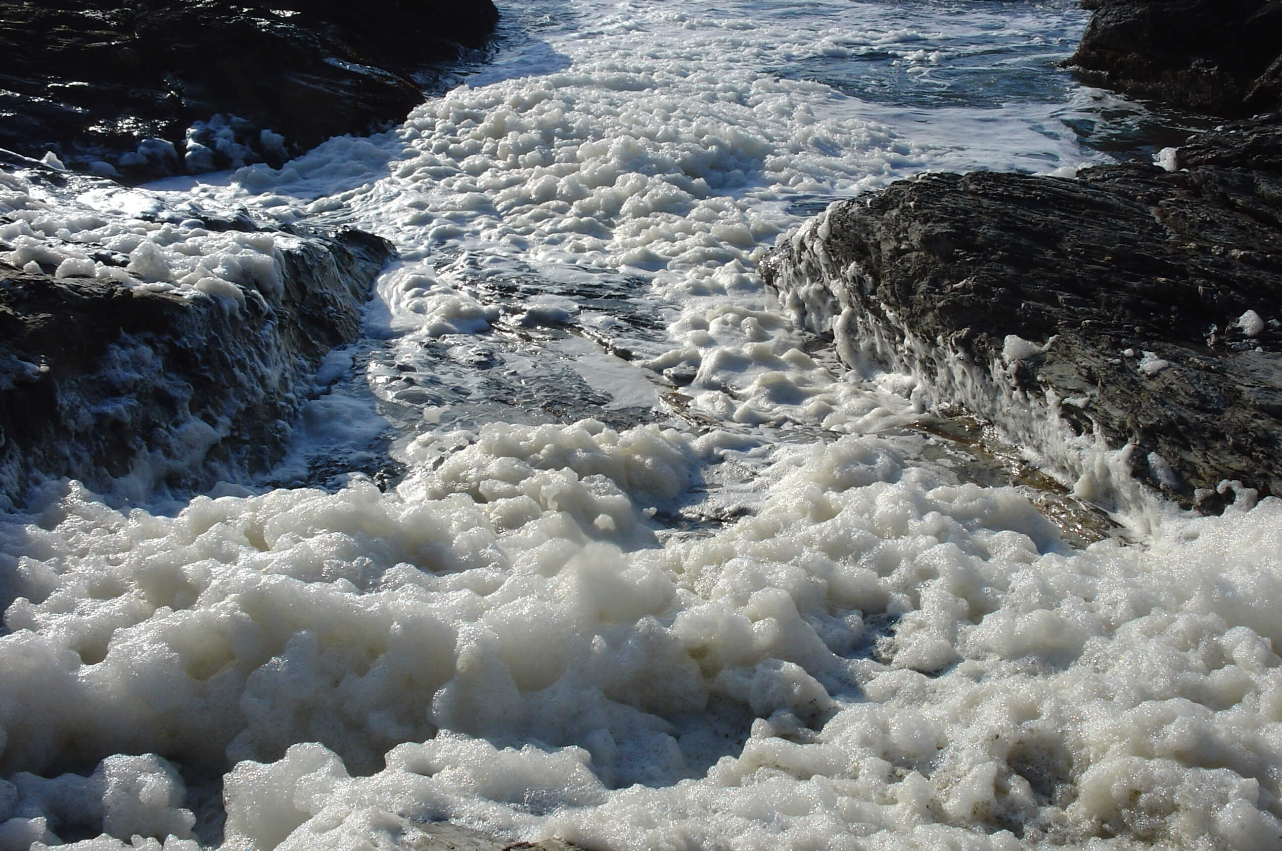 What is Sea Foam? The Phenomenon of a Foaming Ocean