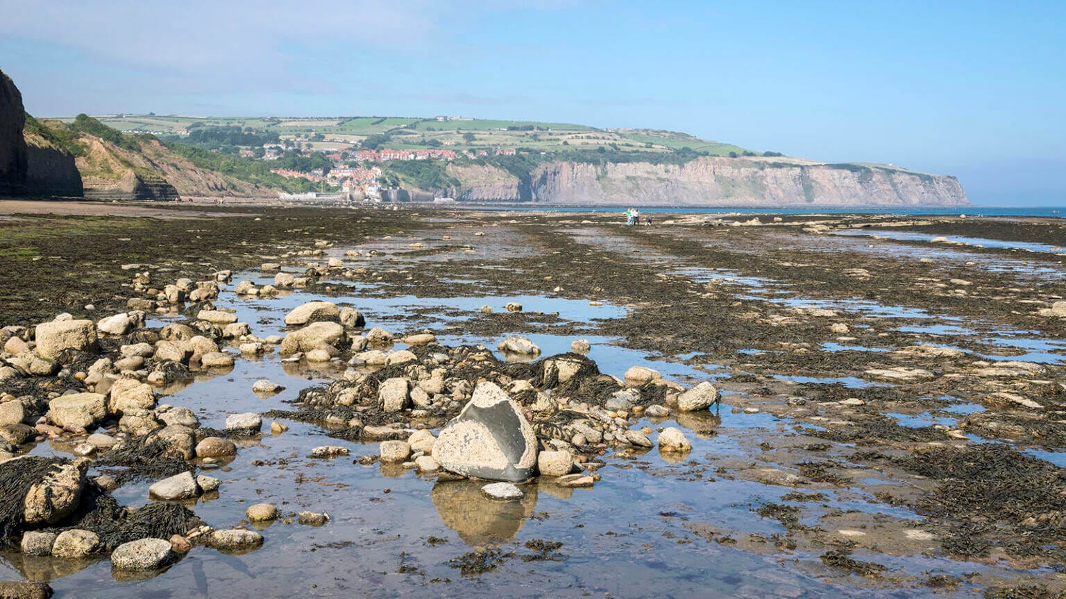 High Tide vs Low Tide: Key Differences Explained - Ocean Info