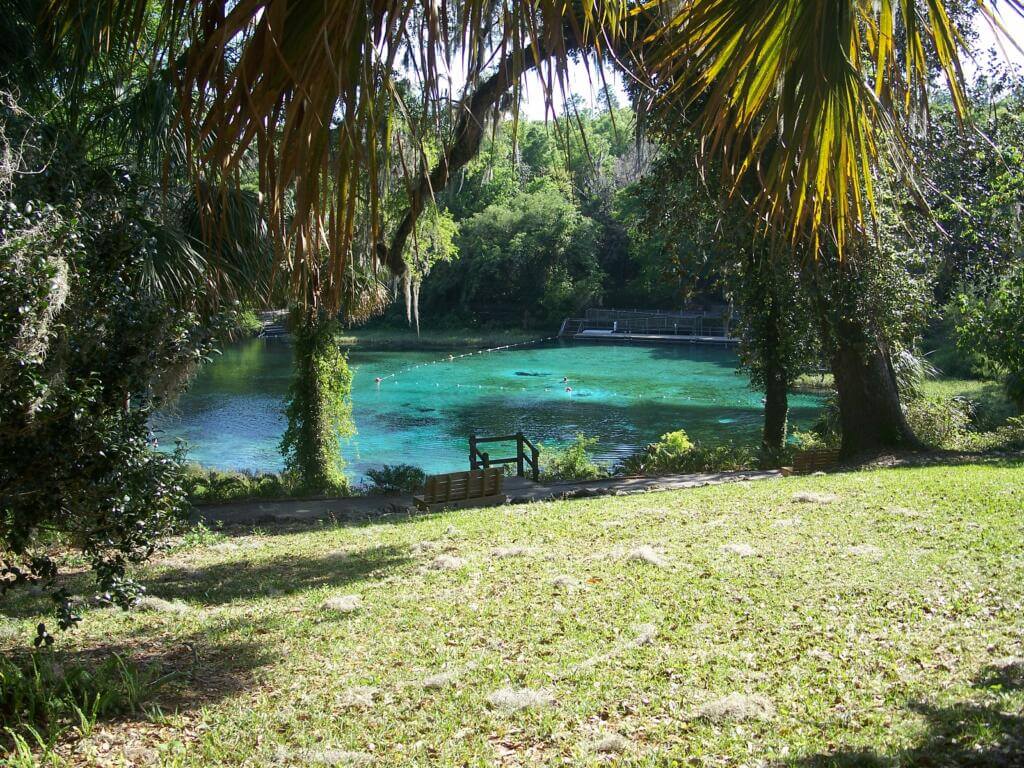 Rainbow River: Florida's Clearest River 1 - Ocean Info