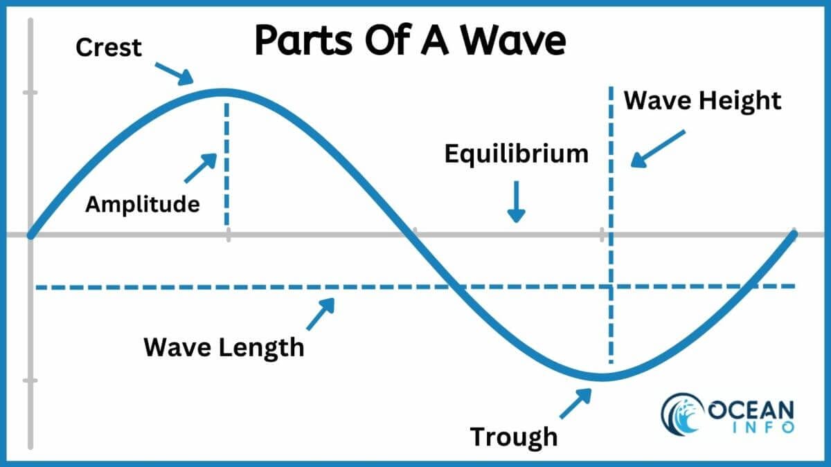 How Waves Are Formed: A Complete Guide - Ocean Info