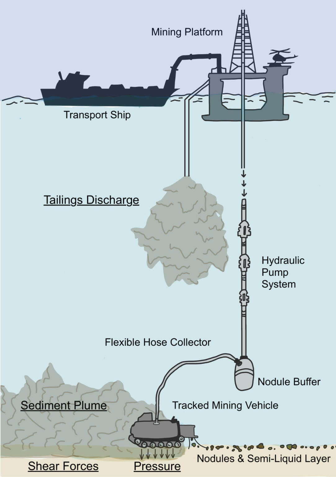 The Seabed: An In-Depth Look At The Ocean Floor - Ocean Info
