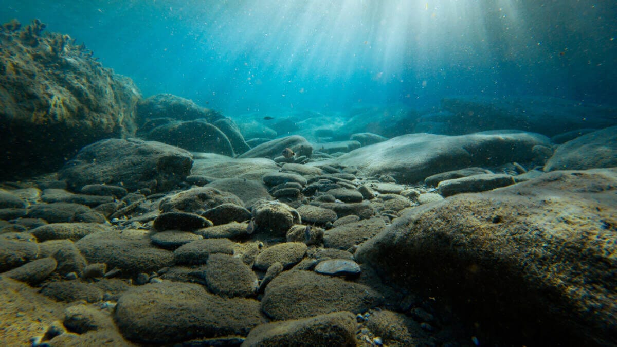 The Seabed: An In-Depth Look At The Ocean Floor - Ocean Info