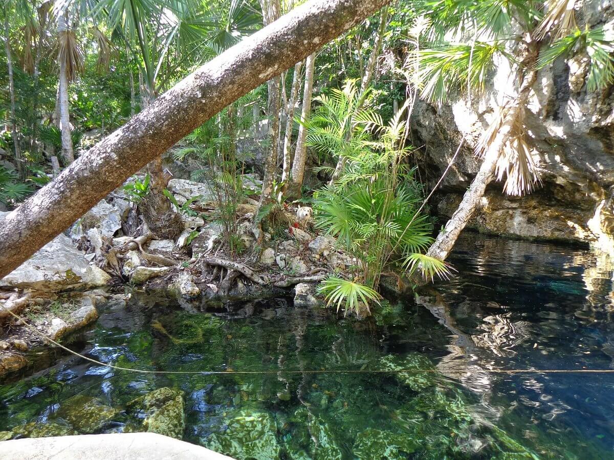 7 Amazing Underwater Caves to Leave You in Awe - Ocean Info