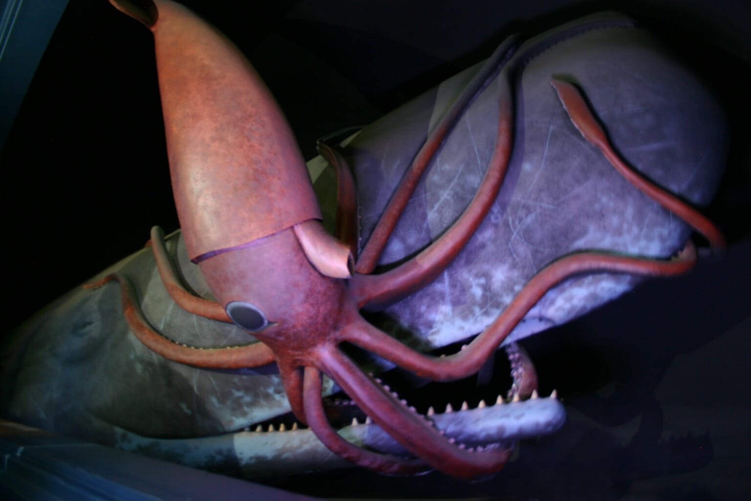 7 Creatures Thriving with Deep Sea Adaptations - Ocean Info