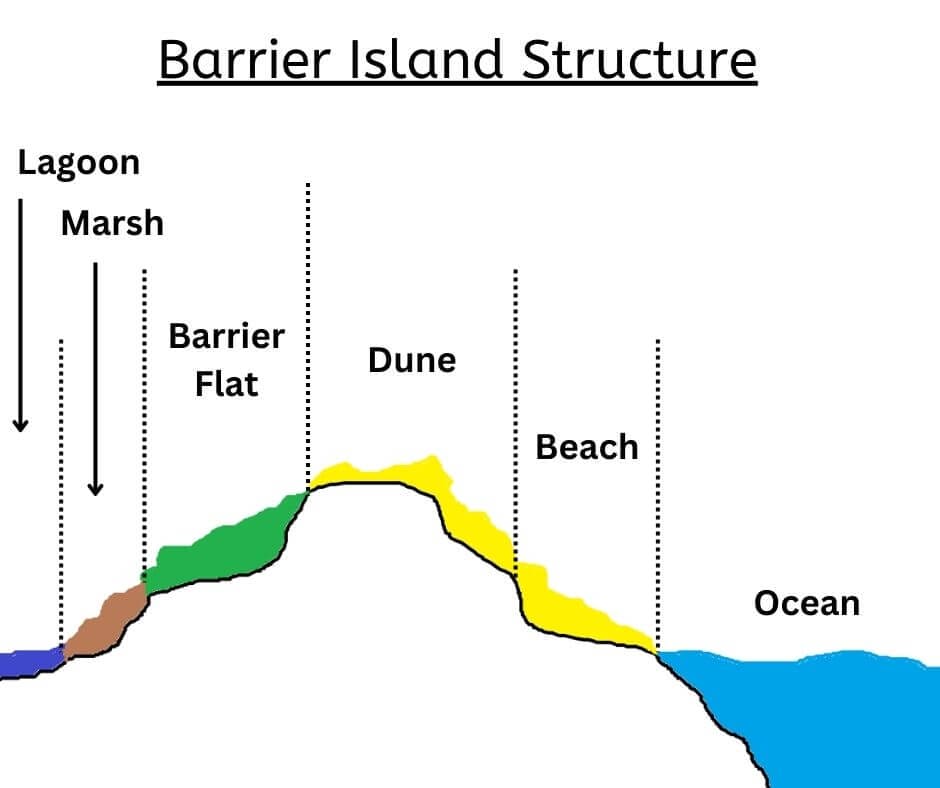 Barrier Islands - Ocean Info