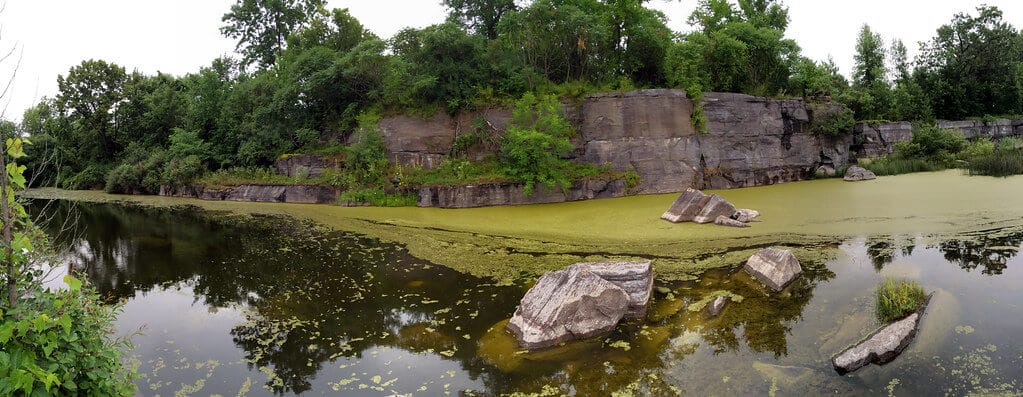 Chazy Reef: The Oldest Reef in The World - Ocean Info