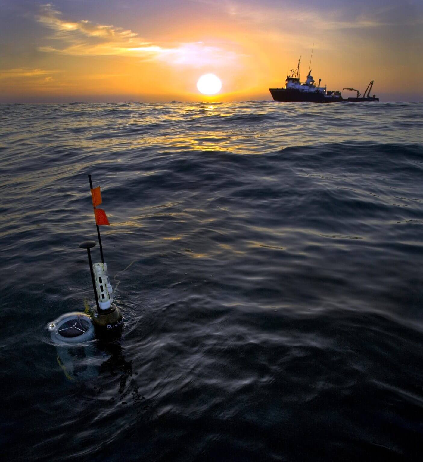 What is the Biological Carbon Pump? - Ocean Info