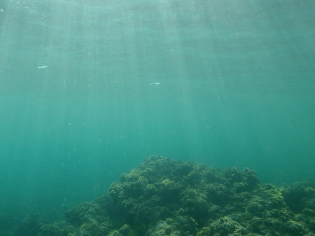 Sea vs Ocean: 4 Key Differences - Ocean Info