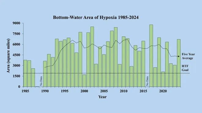 The Gulf Of Mexico Dead Zone - Ocean Info