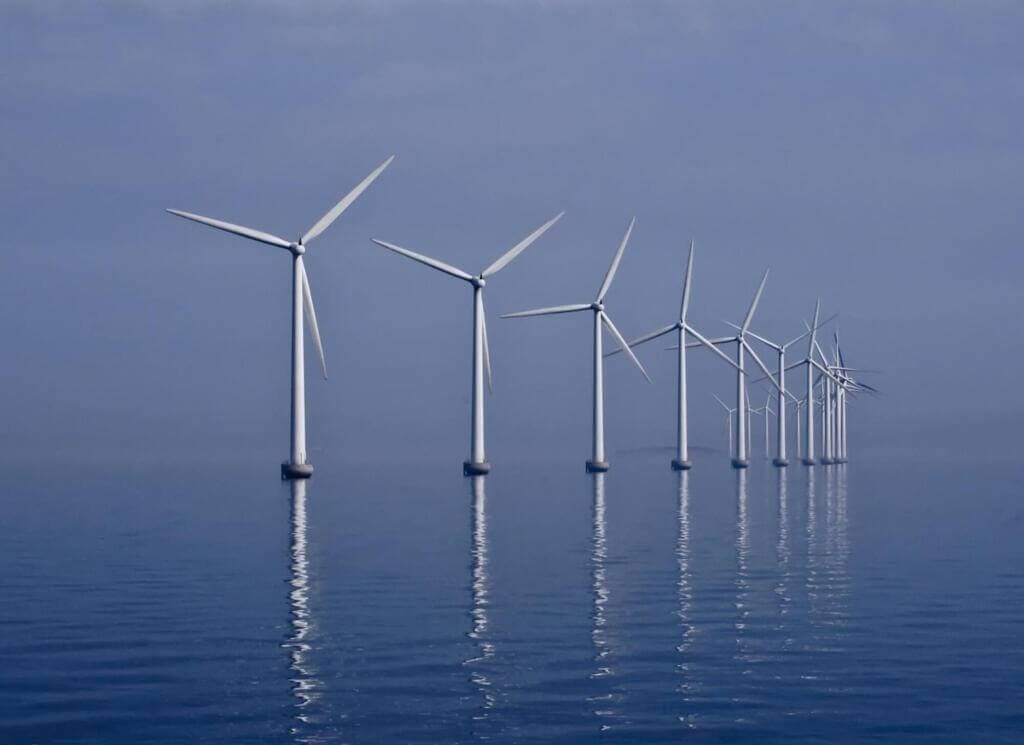 How Offshore Wind Farms Affect Marine Life - Ocean Info