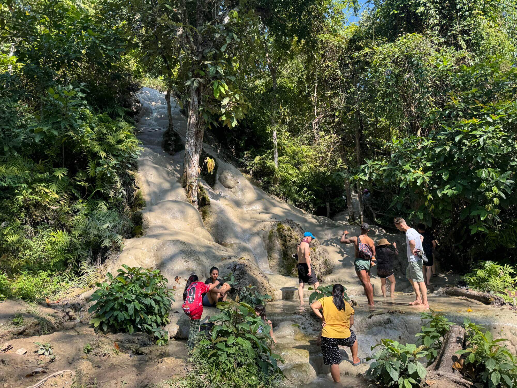 Sticky Waterfalls: What Are They? - Ocean Info